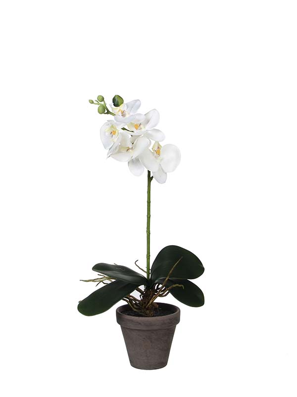 Veštačka orhideja u terakota saksiji - Urban Garden