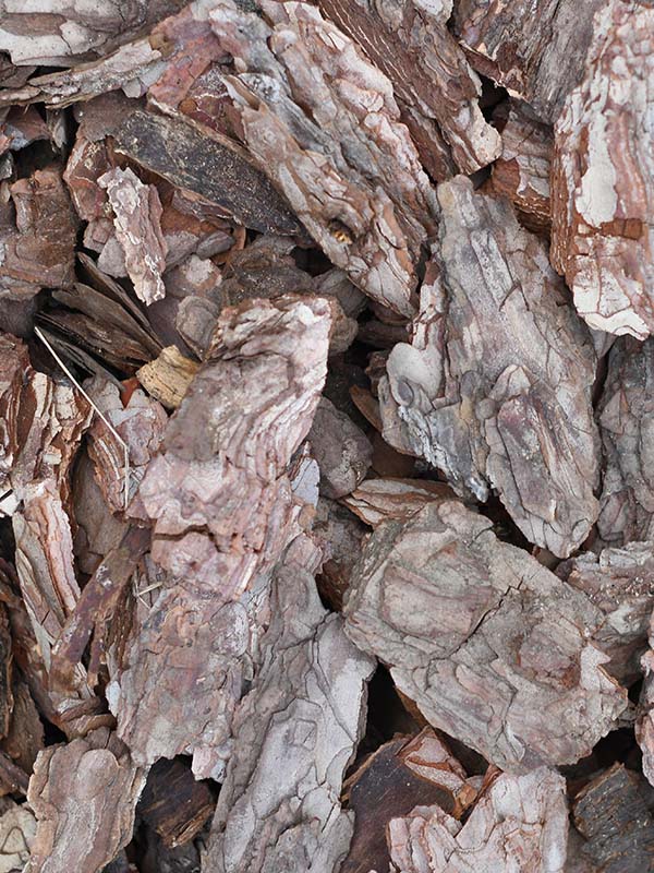 Dekoracija za kuću - Kupi danas - Urban Garden