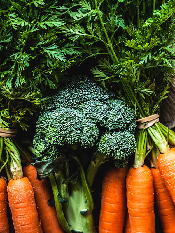 Semena cveća, povrća i začinskog bilja - Urban Garden